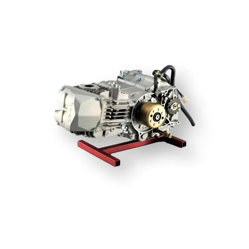 DAYTONA ANIMA 190 FSM 4V-MOTOR
